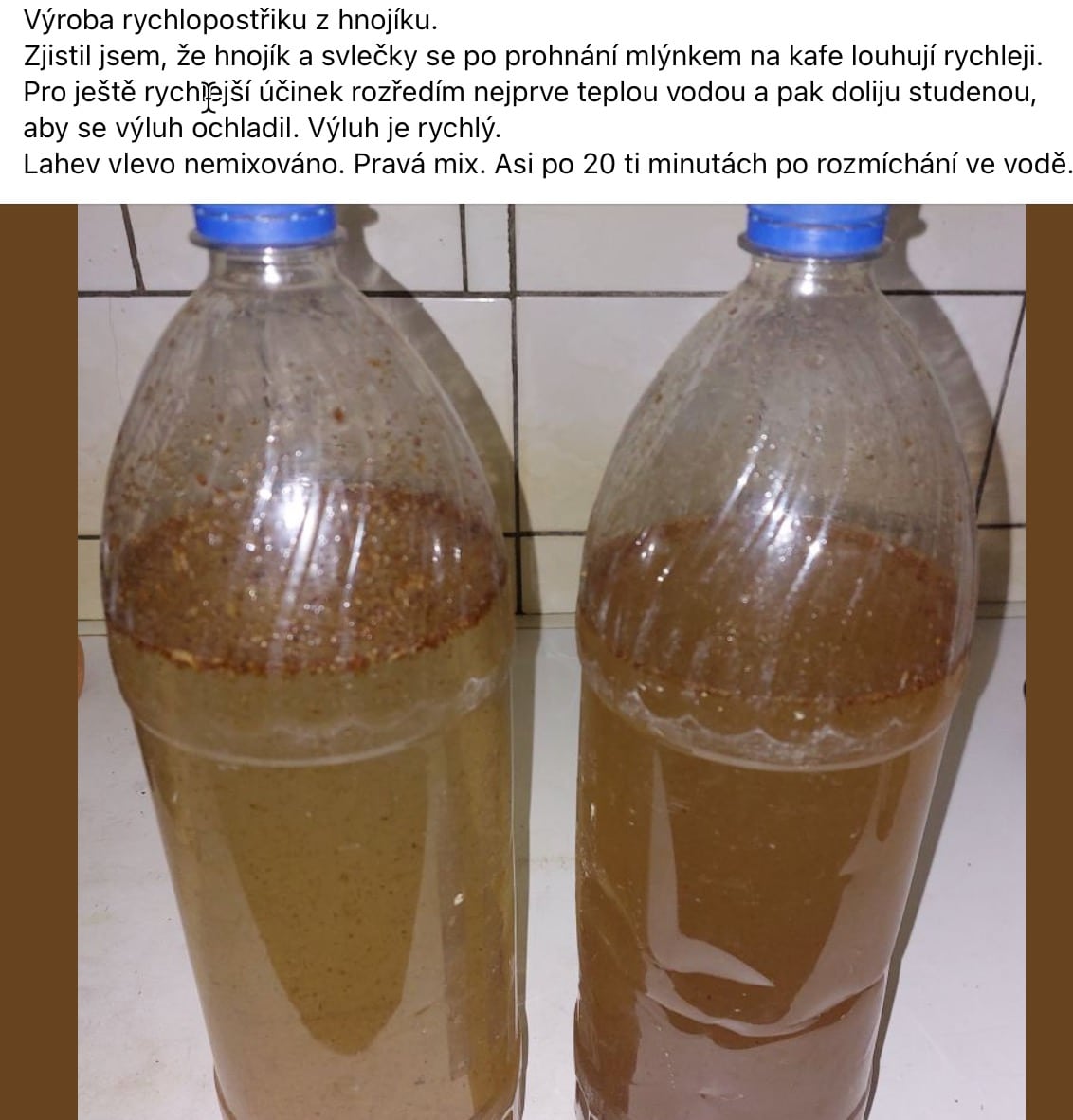 Javor: druhy, listy, plody, dřevo a javorový sirup