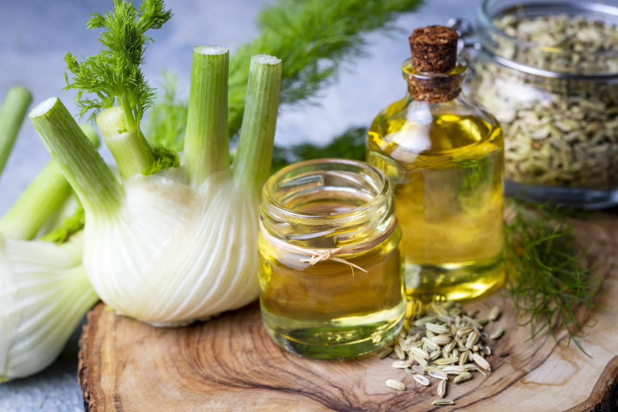 Fenykl obecný | Účinky, pěstování a použití v kuchyni | Hnojík.CZ