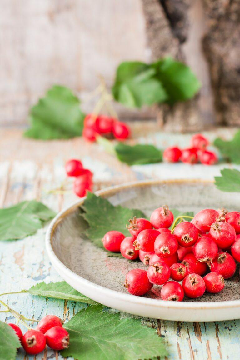Hloh | Hnojík.CZ - Pěstování, využití a léčivé účinky hlohu